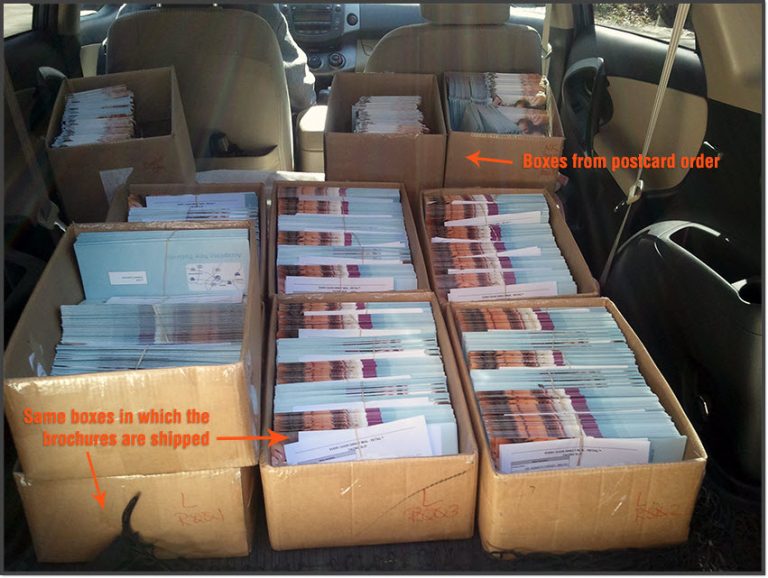 Every Door Direct Mail® Service (EDDM) – ZinZang Studio